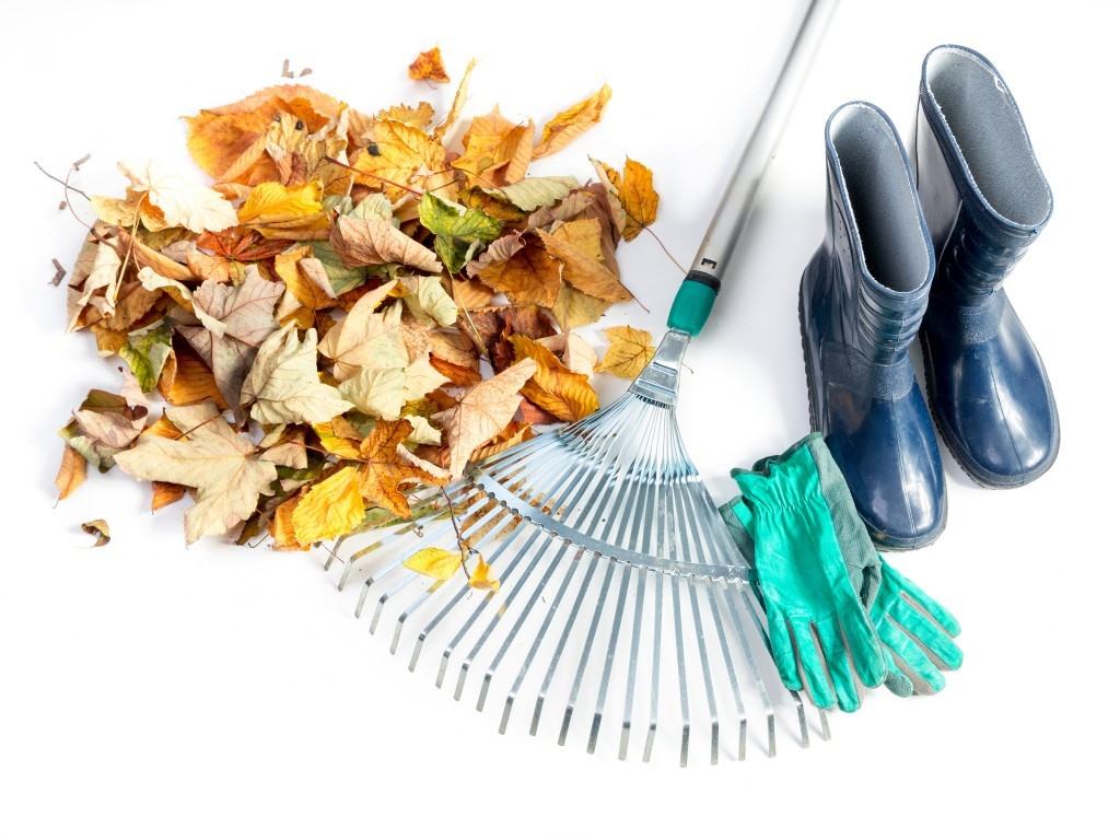 Prevent Injuries this Fall – Fit Chiropractic